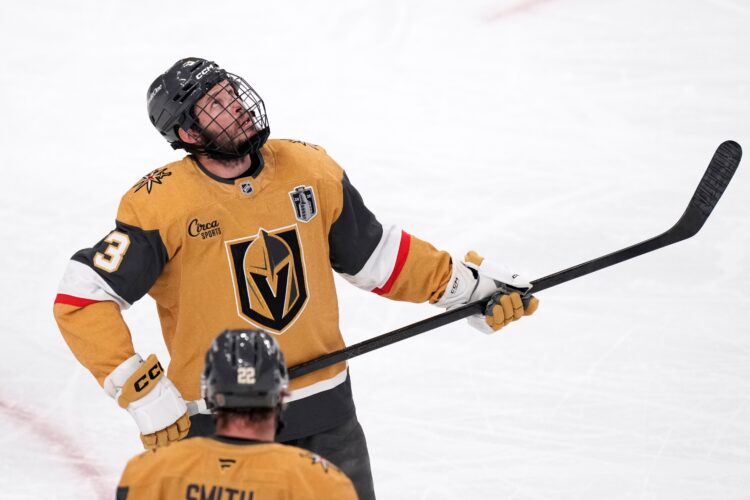Golden Knights’ Brayden McNabb earns raves after playing with 2 dozen ...